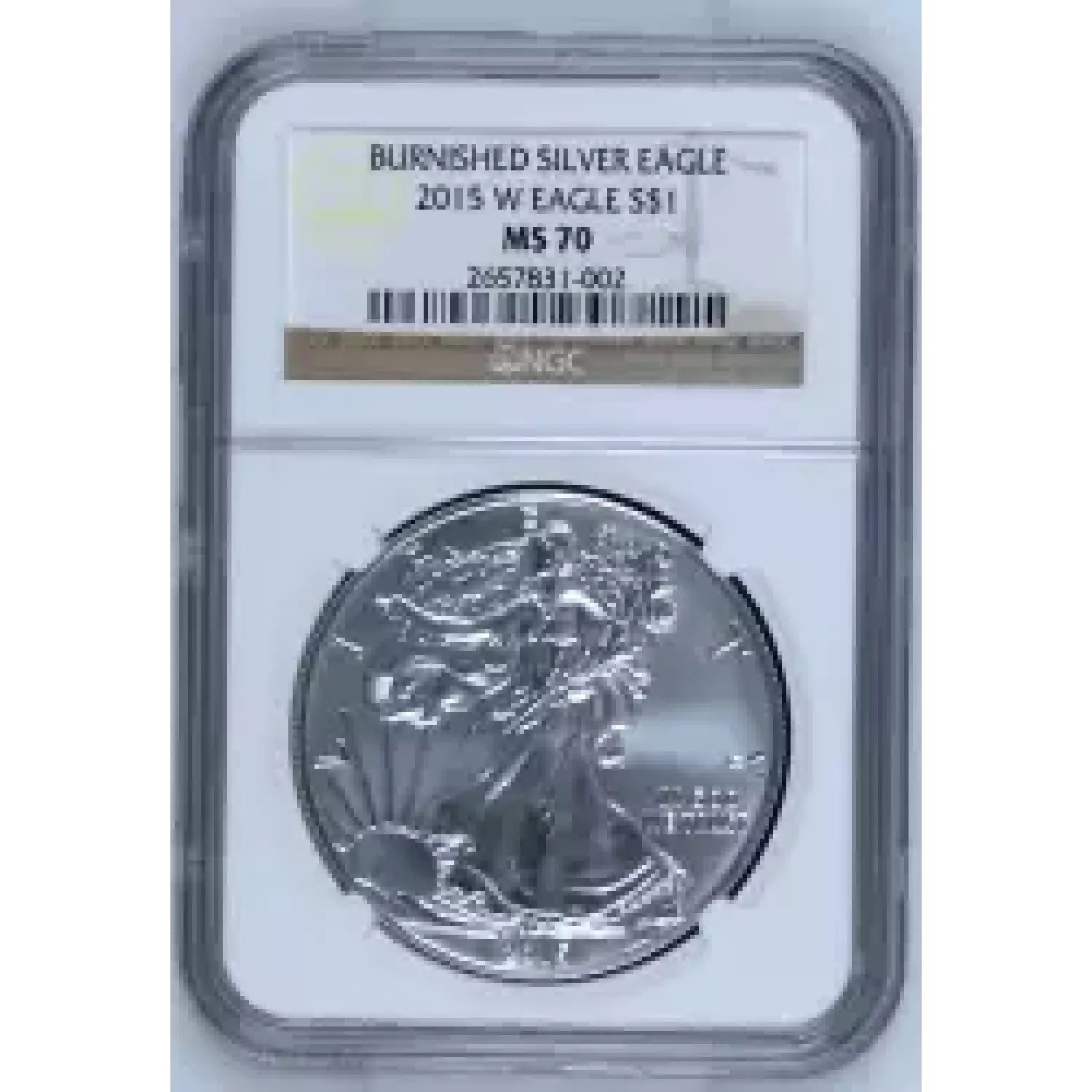 2015-W Silver Eagle NGC MS-70 BURNISHED - Old Pueblo Coin