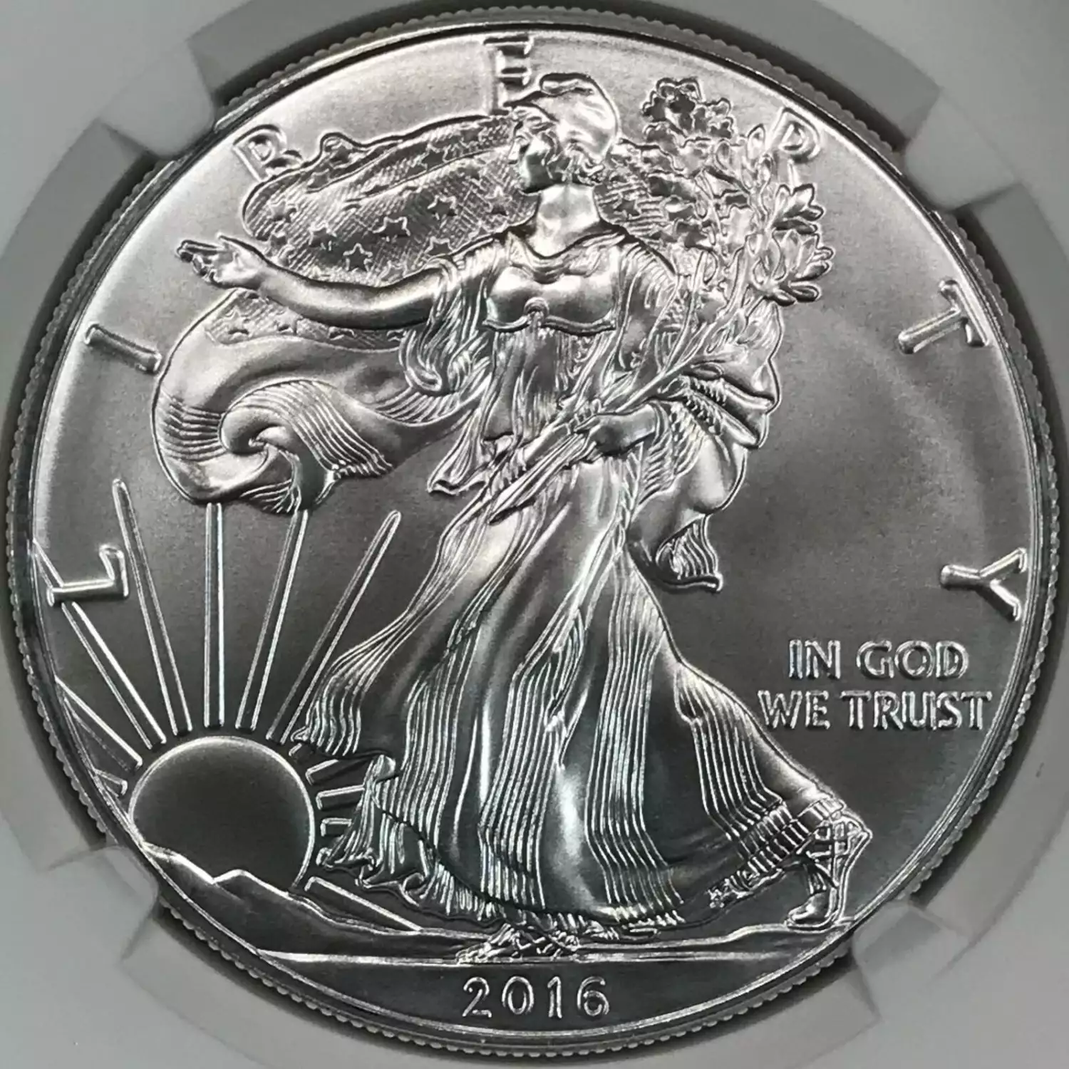 2016 Silver Eagle NGC MS-70 30th Anniversary - Old Pueblo Coin