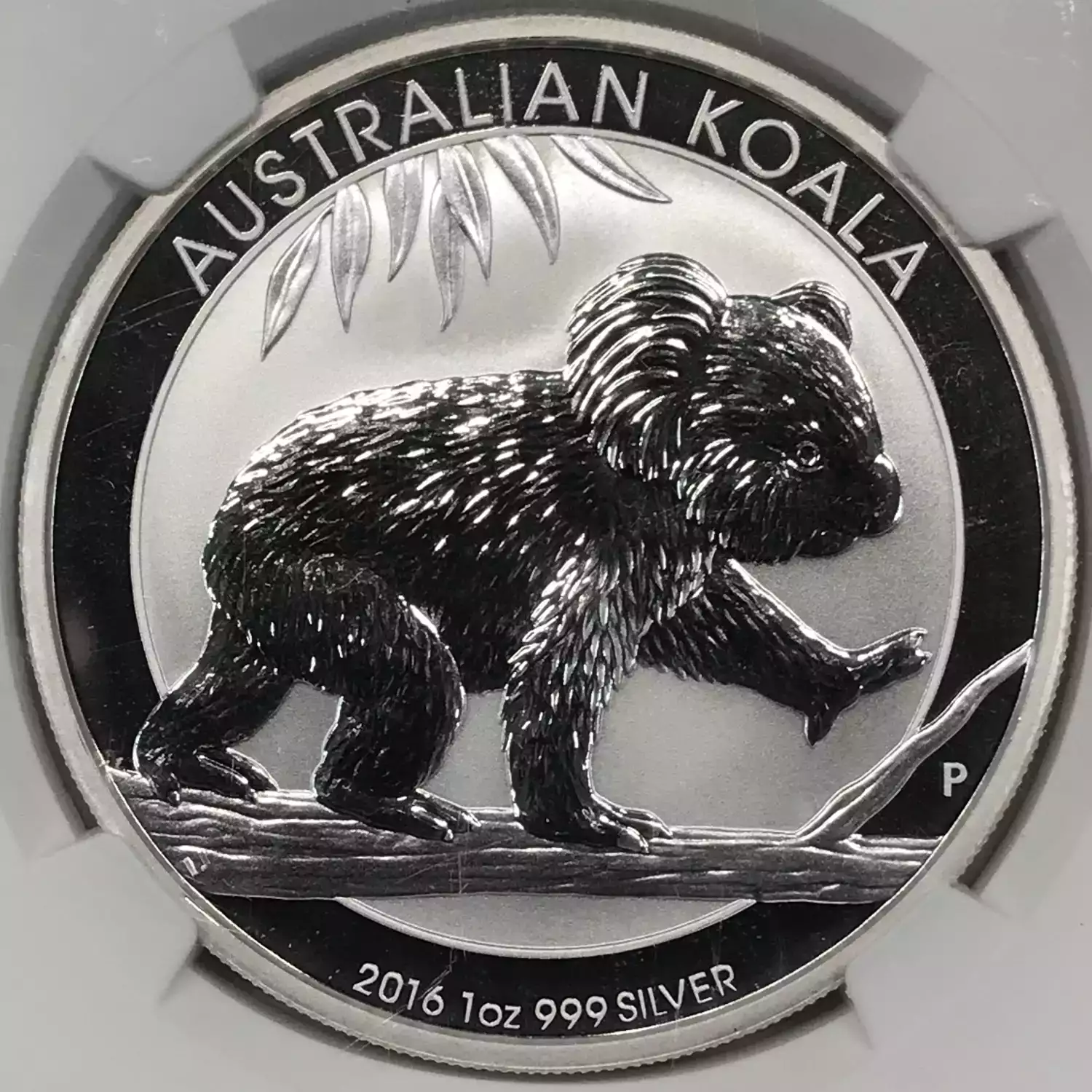 2016 1 oz Silver NGC MS-70 AUSTRALIA KOALA - Old Pueblo Coin