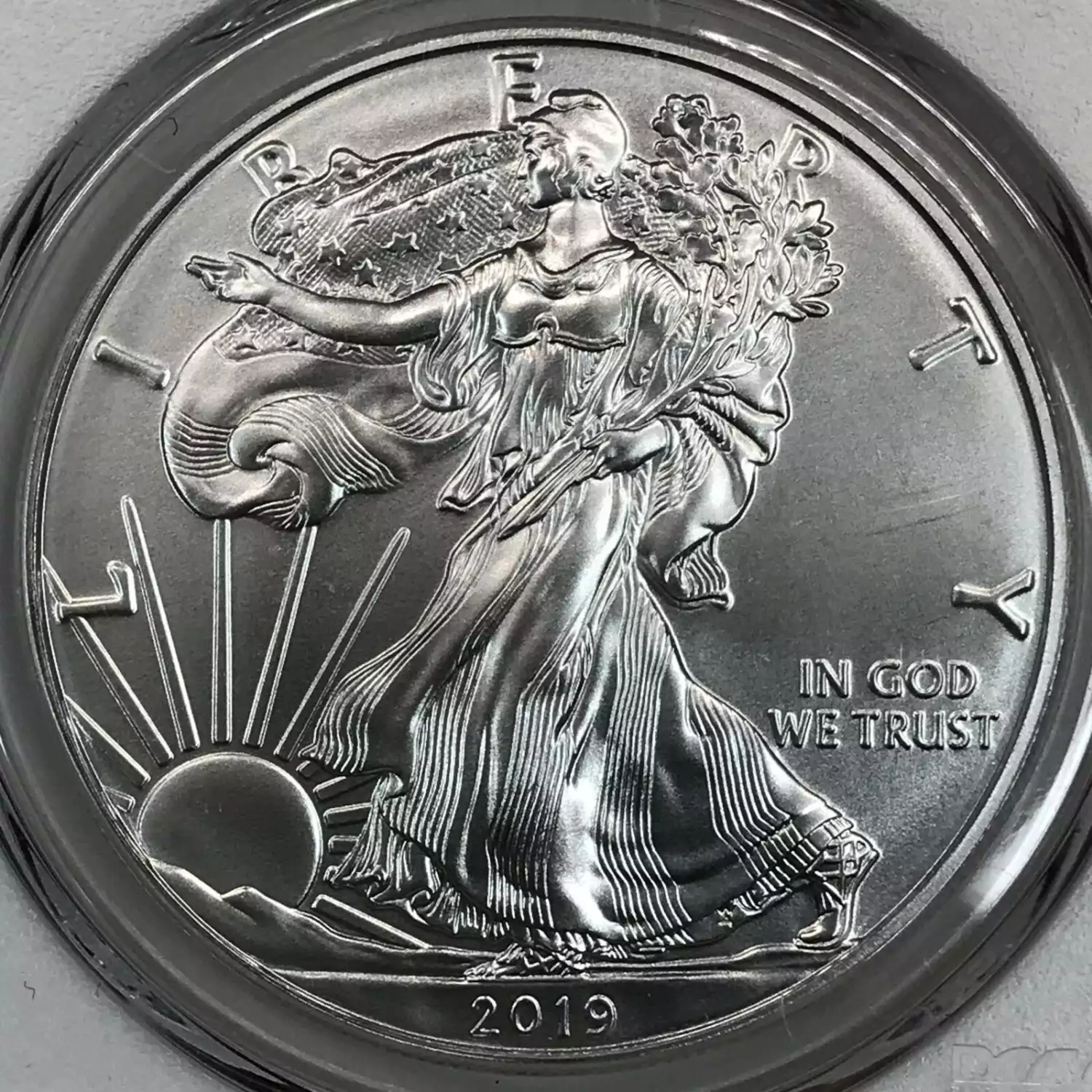 2019 Silver Eagle PCGS MS-70 MADE IN U.S.A. Label - White Core - Old ...