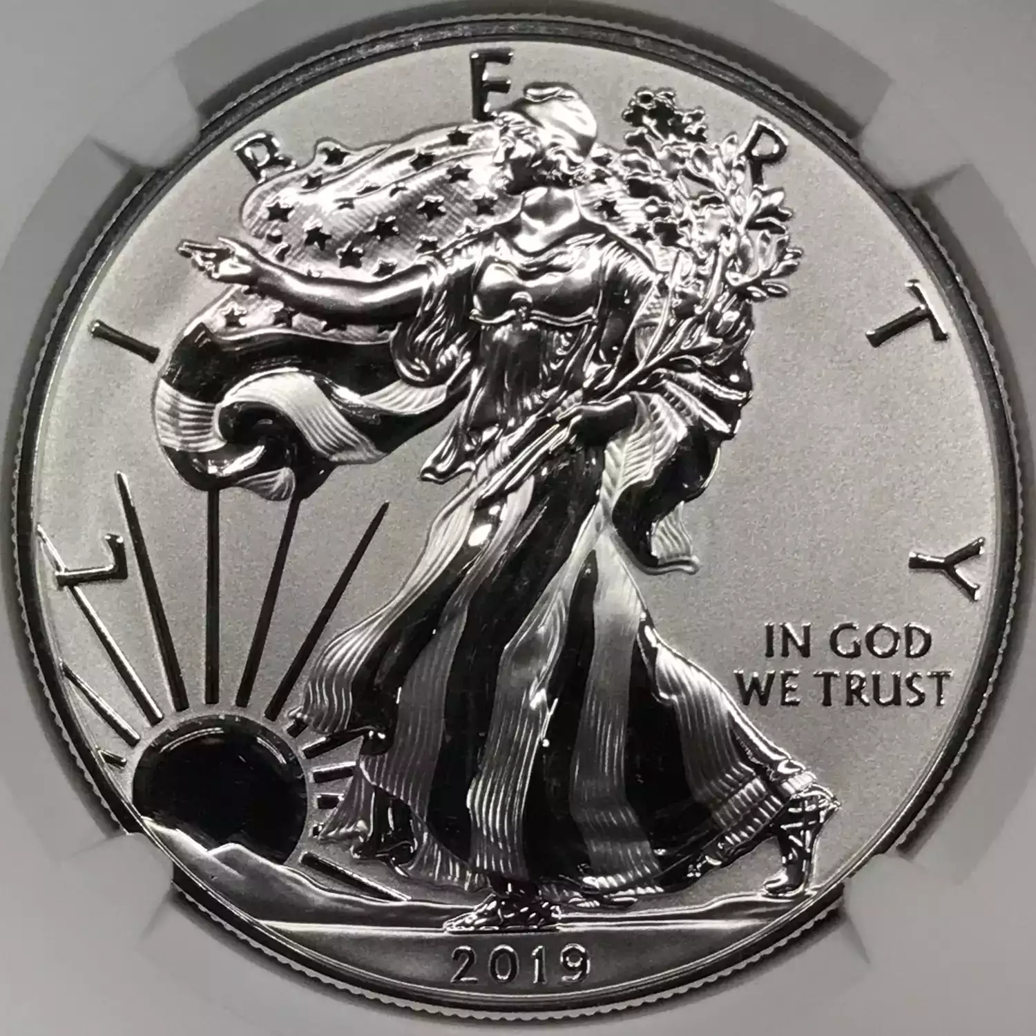 2019-S Silver Eagle NGC PF-69 Enhanced Reverse Proof - Old Pueblo Coin