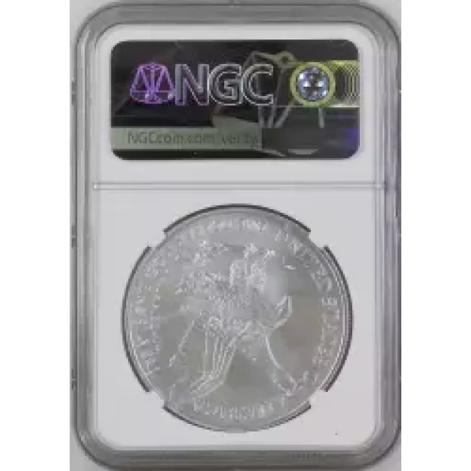 2021-W Silver Eagle NGC MS-69 Eagle Landing T-2 Burnished Silver Eagle - Old Pueblo Coin