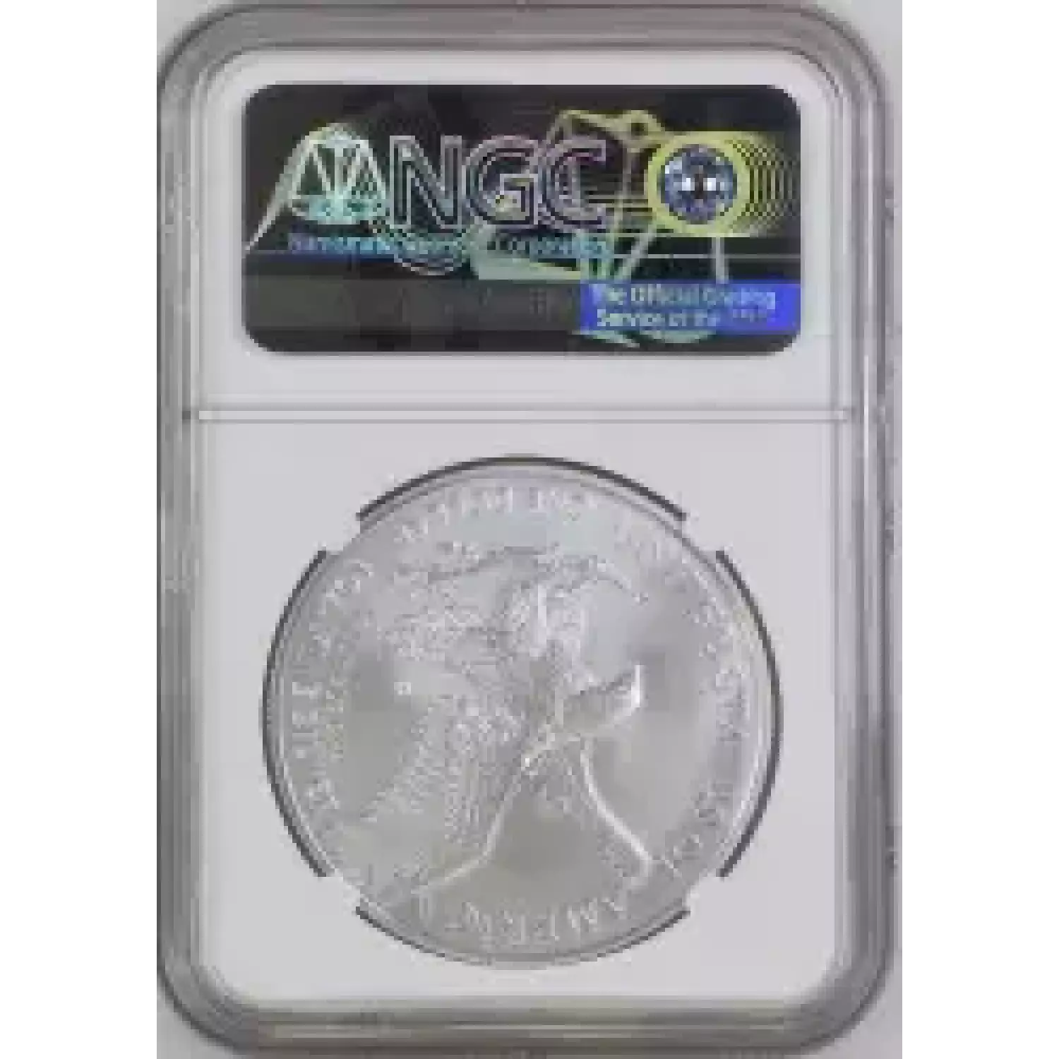 2021-W Silver Eagle NGC MS-69 W Eagle Landing T-2 Burnished Silver Eagle - Old Pueblo Coin