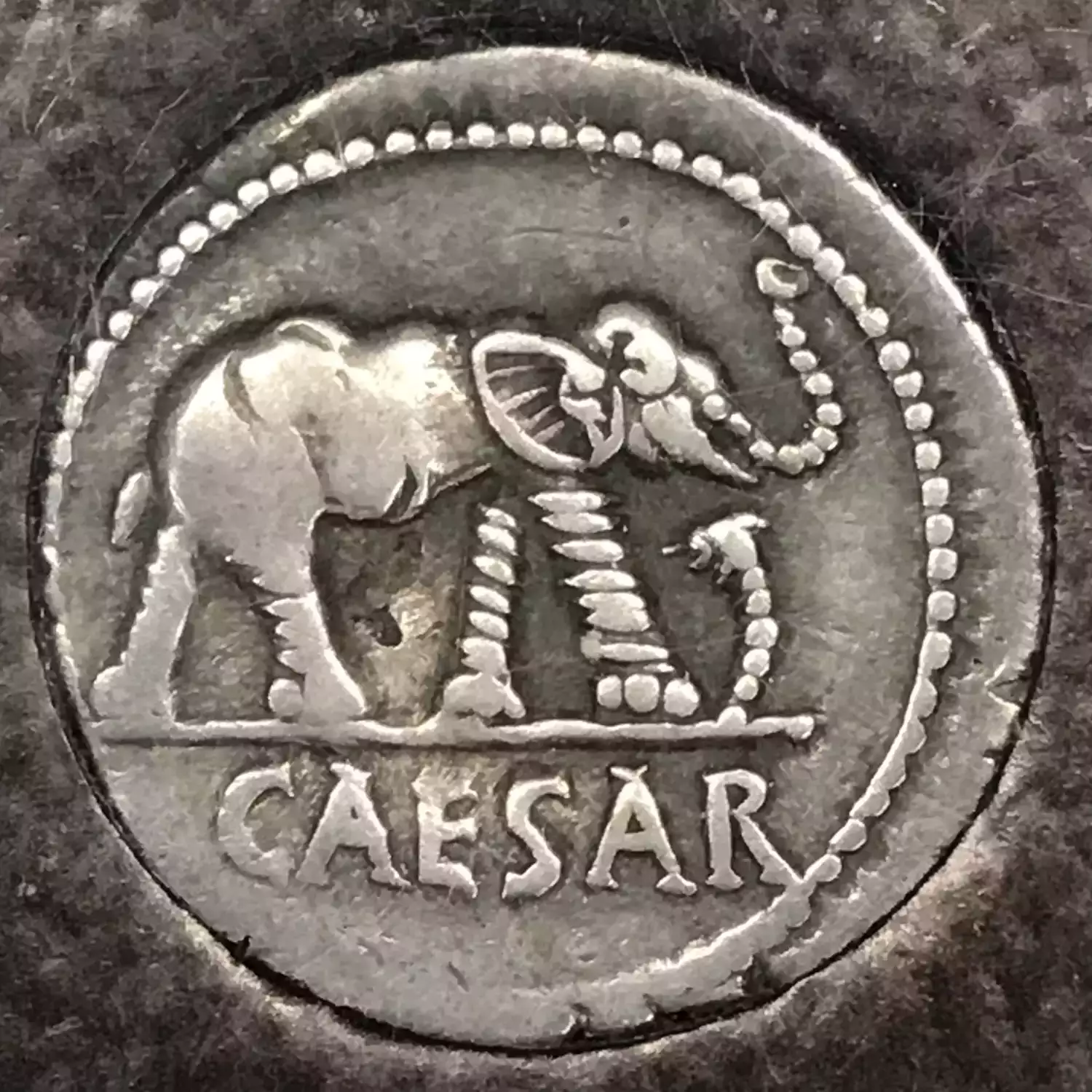 49-48 BC Roman Republic Ancient Coin ICG F-15 Roman Republic Julius ...