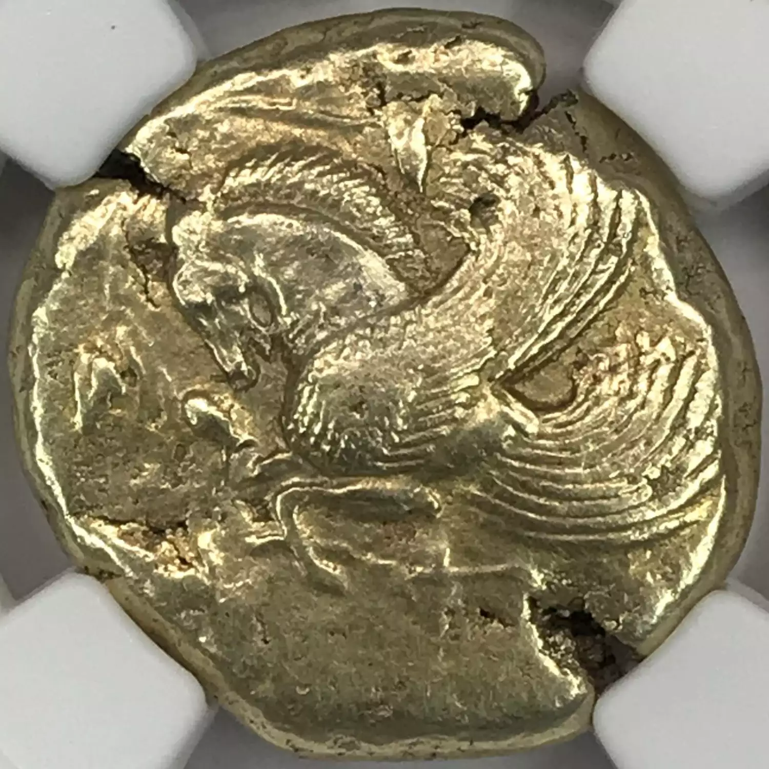 c.500-450 BC Greek Ancient Coin NGC Ch-XF-Strike:-4/5-Surface:-3/5 ...