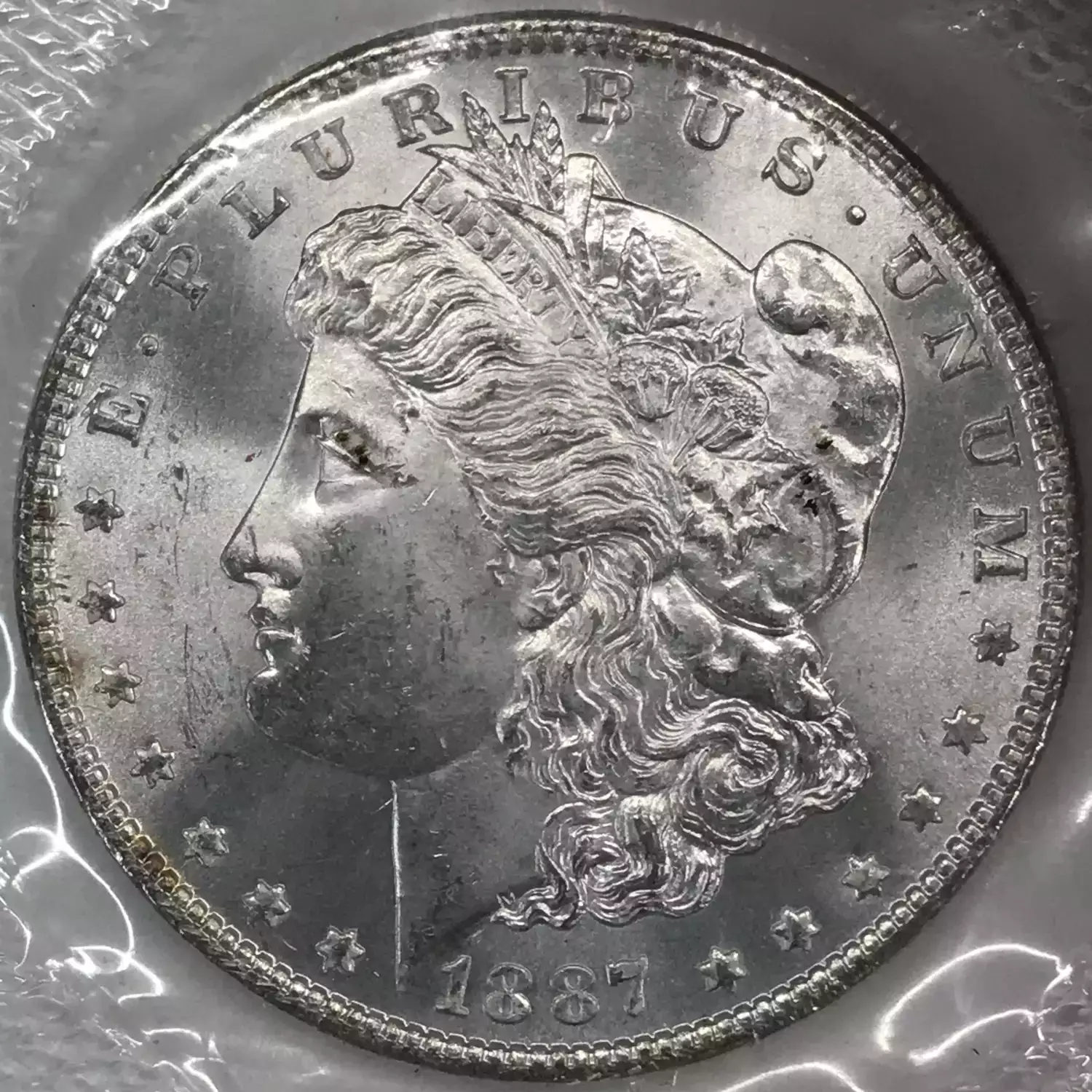 1887 Morgan Silver Dollar GSA Soft Pack, TOP 100 VAM-12A Alligator Eye ...