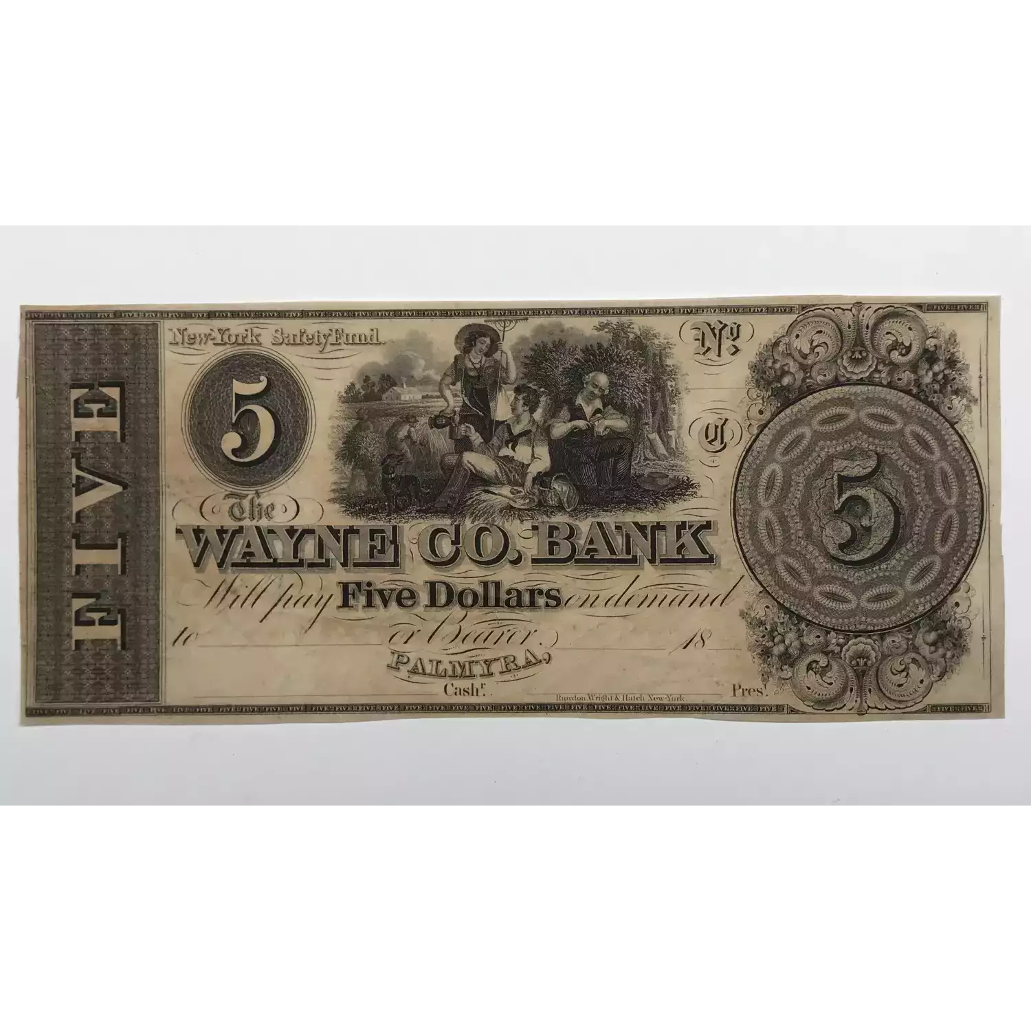 Obsolete Currency 1800s The Wayne County Bank at Palmyra New York (NY ...