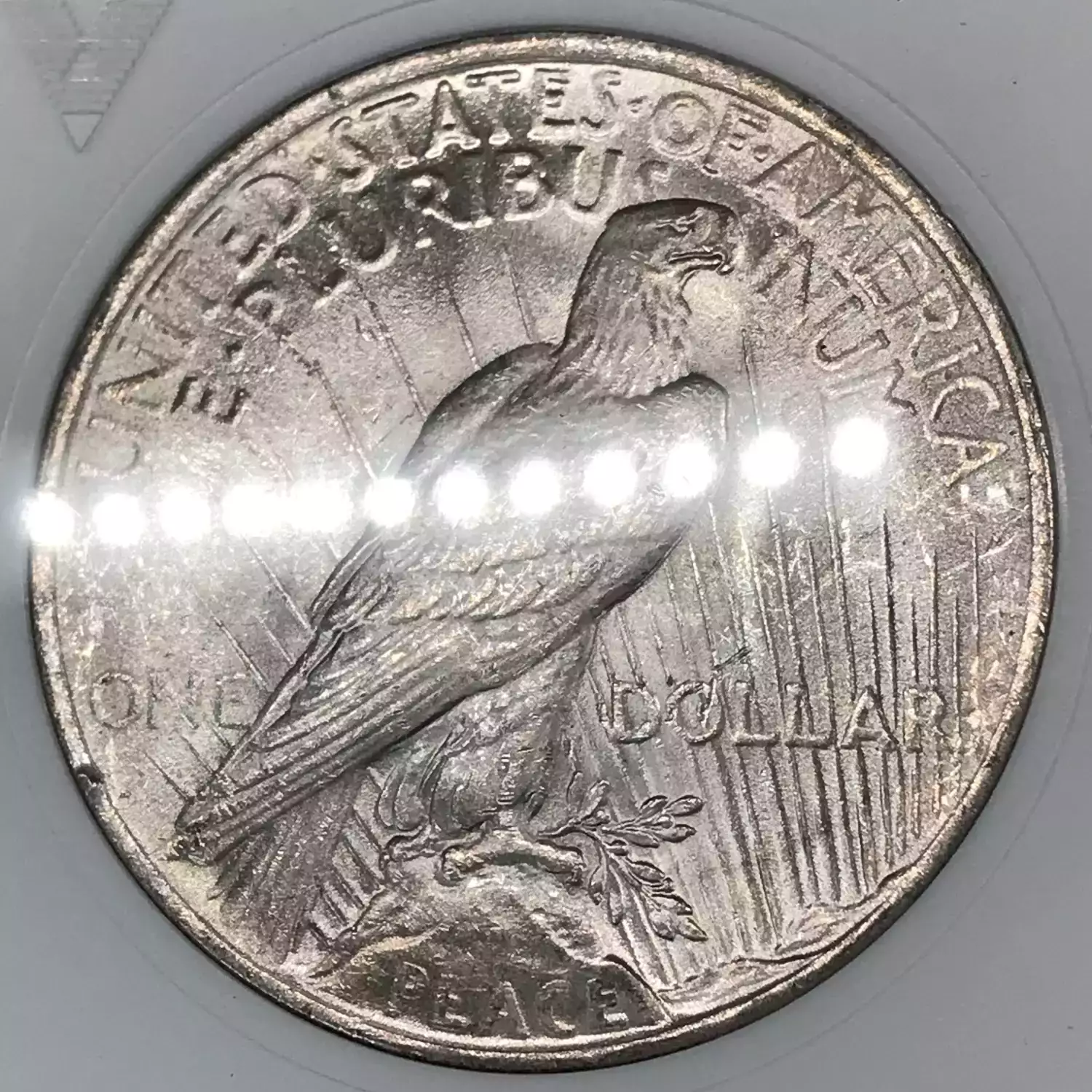 1923 Peace Silver Dollar ANACS MS-62 TOP 50 VAM-1F "Chin Bar" - Old Pueblo Coin