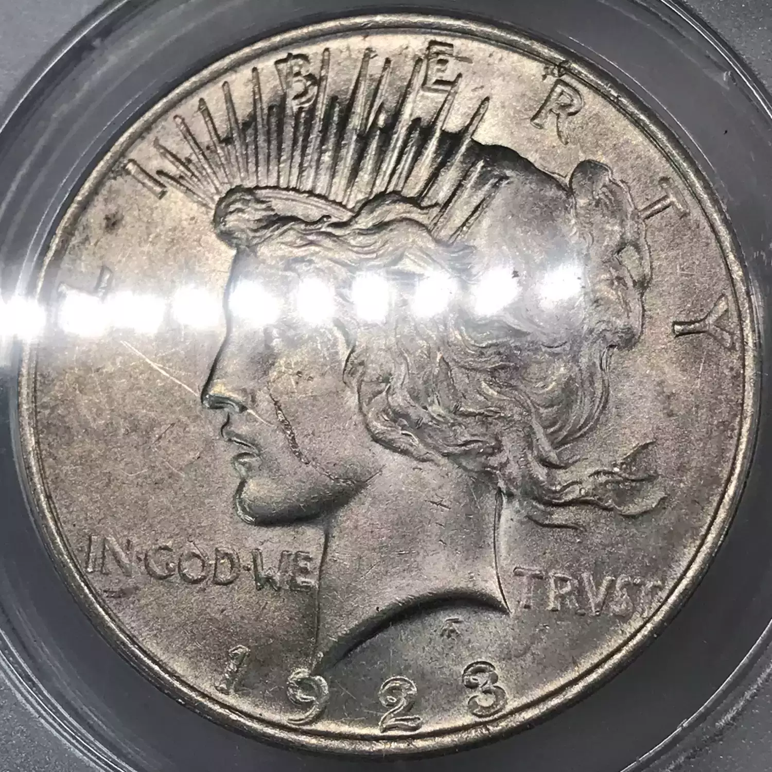 1923 Peace Silver Dollar ANACS MS-61 TOP 50 VAM-1D "Whisker Cheek" - Old Pueblo Coin