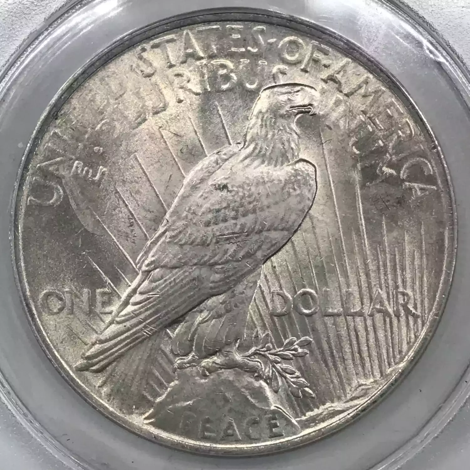 1923 Peace Silver Dollar ANACS MS-61 TOP 50 VAM-1D "Whisker Cheek" - Old Pueblo Coin