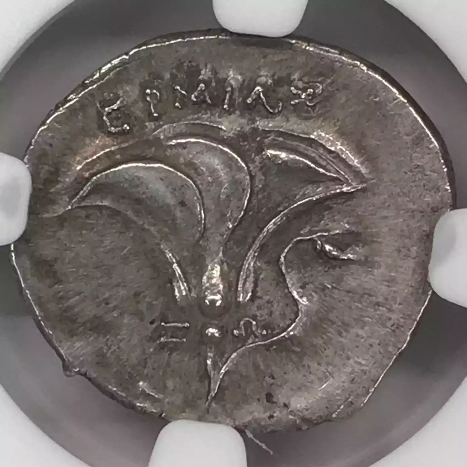 Greek Ancient Coin NGC Ch-AU-Strike:-5/5-Surface:-4/5 - Old Pueblo Coin