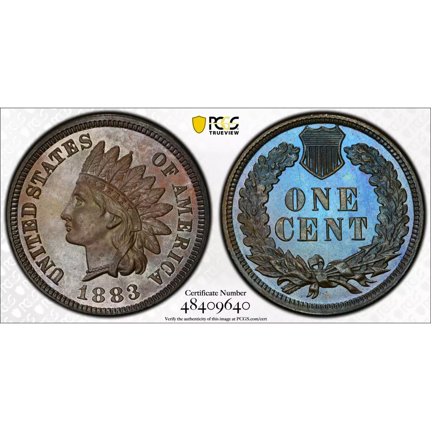 1883 Indian Head Cent PCGS PR-66 BN CAC - Old Pueblo Coin